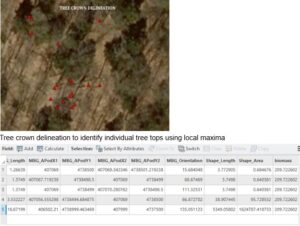 GVI: GIS Course Training and Consulting Services | GIS VISION INDIA ...